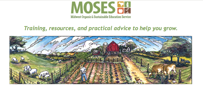 MOSES Organic Link